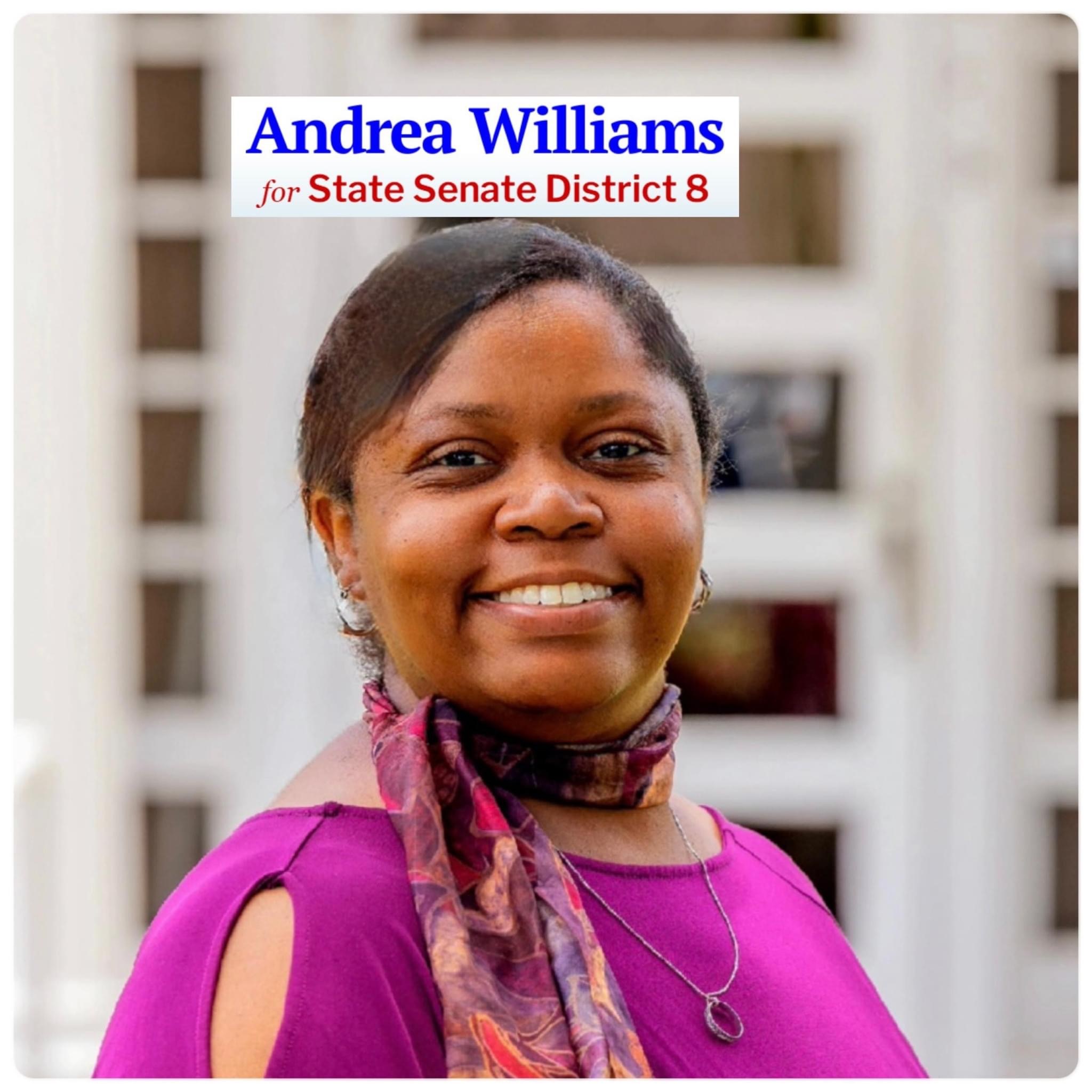Election 2022: Florida Senate race features New Smyrna Republican and ...